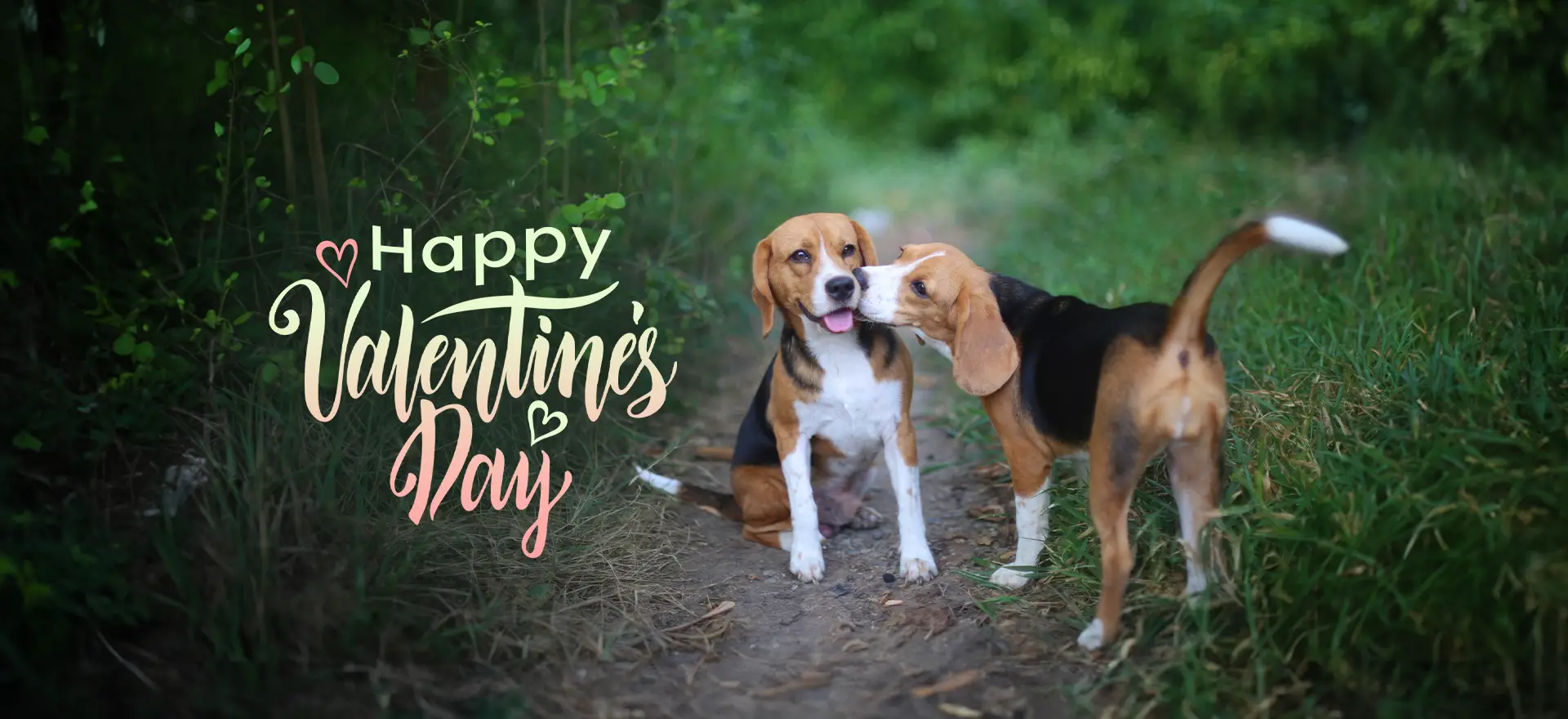 Vet Clinic in Exeter & Visalia, CA | Exeter Veterinary Hospital