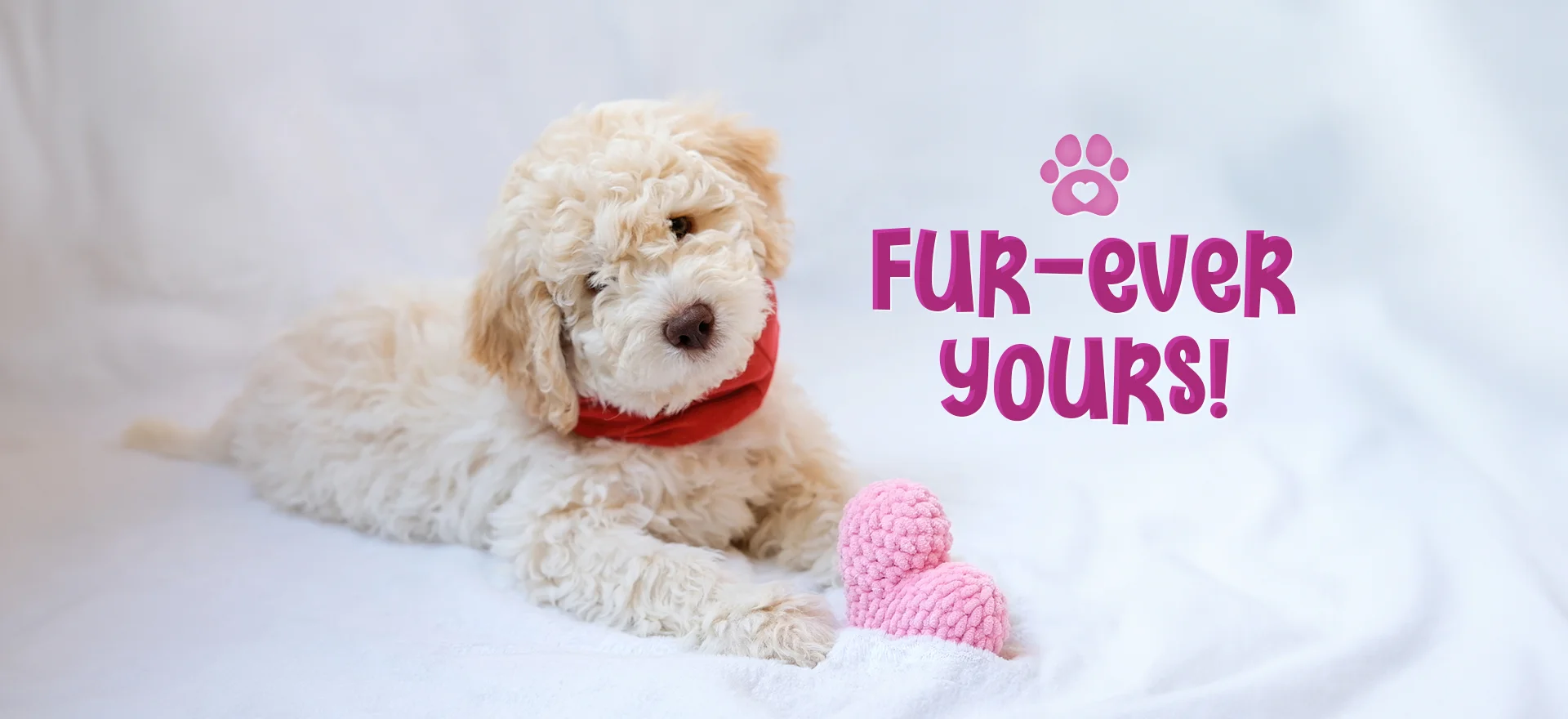 Vet Clinic in Exeter & Visalia, CA | Exeter Veterinary Hospital