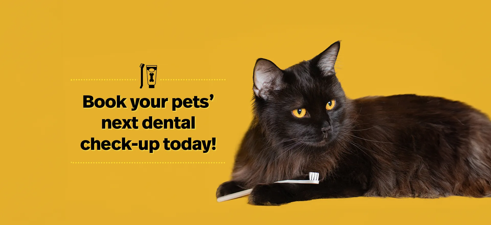 Vet Clinic in Exeter & Visalia, CA | Exeter Veterinary Hospital
